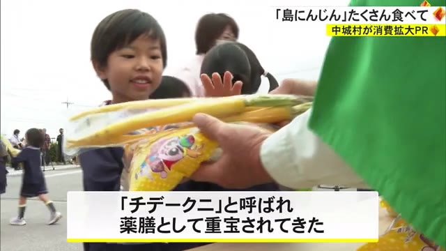 「島にんじんウィーク」 沖縄伝統の島野菜をPR | OKITIVE
